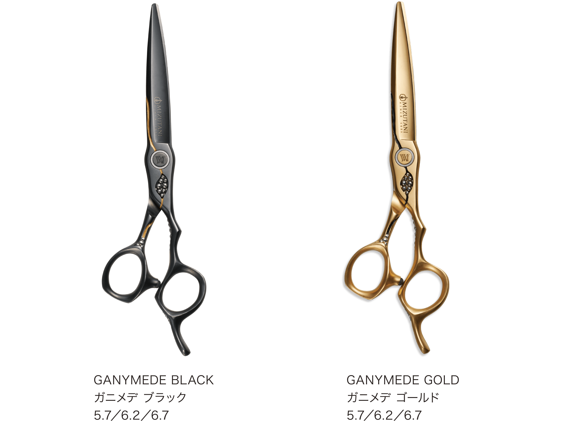 ホイットニー・ヴァミアー | ミズタニシザーズ